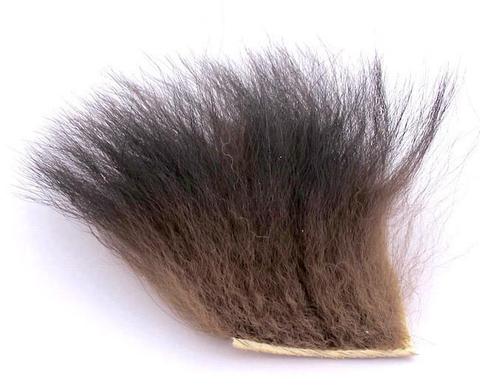 black bear fur