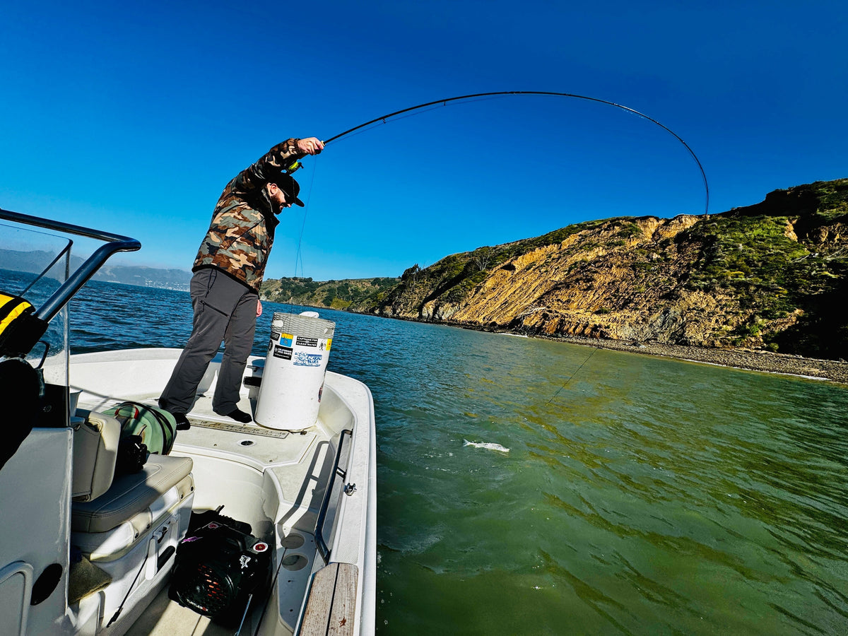 Napa & Bay Striper + Lake Sonoma Fly Fishing Report – Lost Coast Outfitters