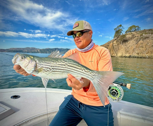 San Francisco Bay Fly Fishing Report – Lost Coast Outfitters