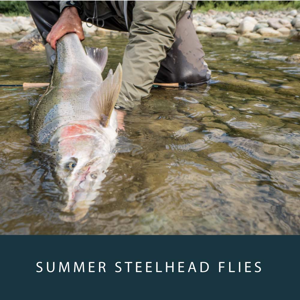 Summer Steelhead Flies – Lost Coast Outfitters