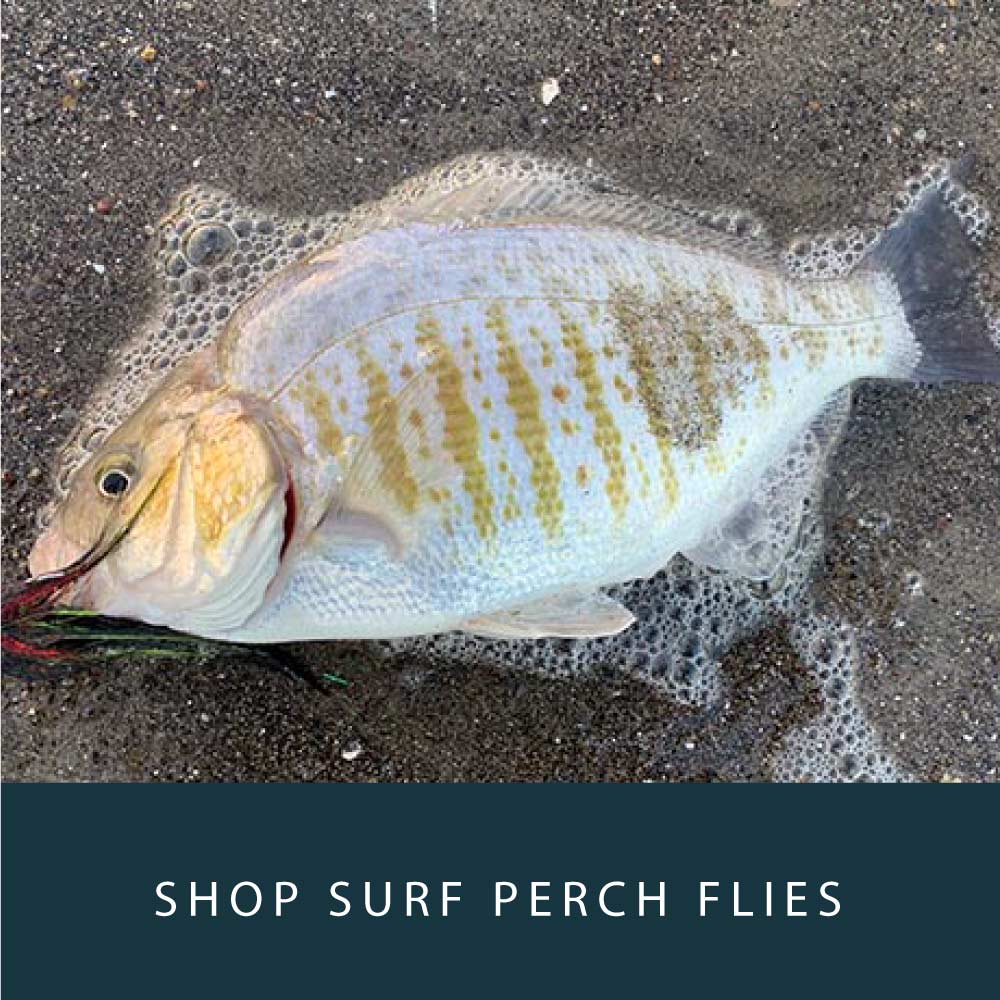 Surf Perch