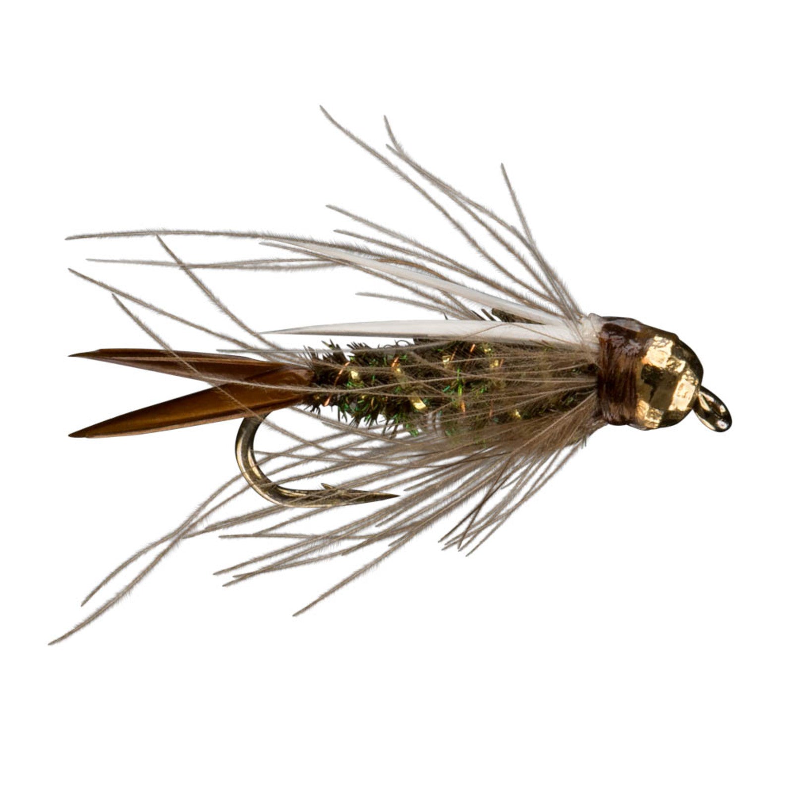 Rio's TB CDC Prince