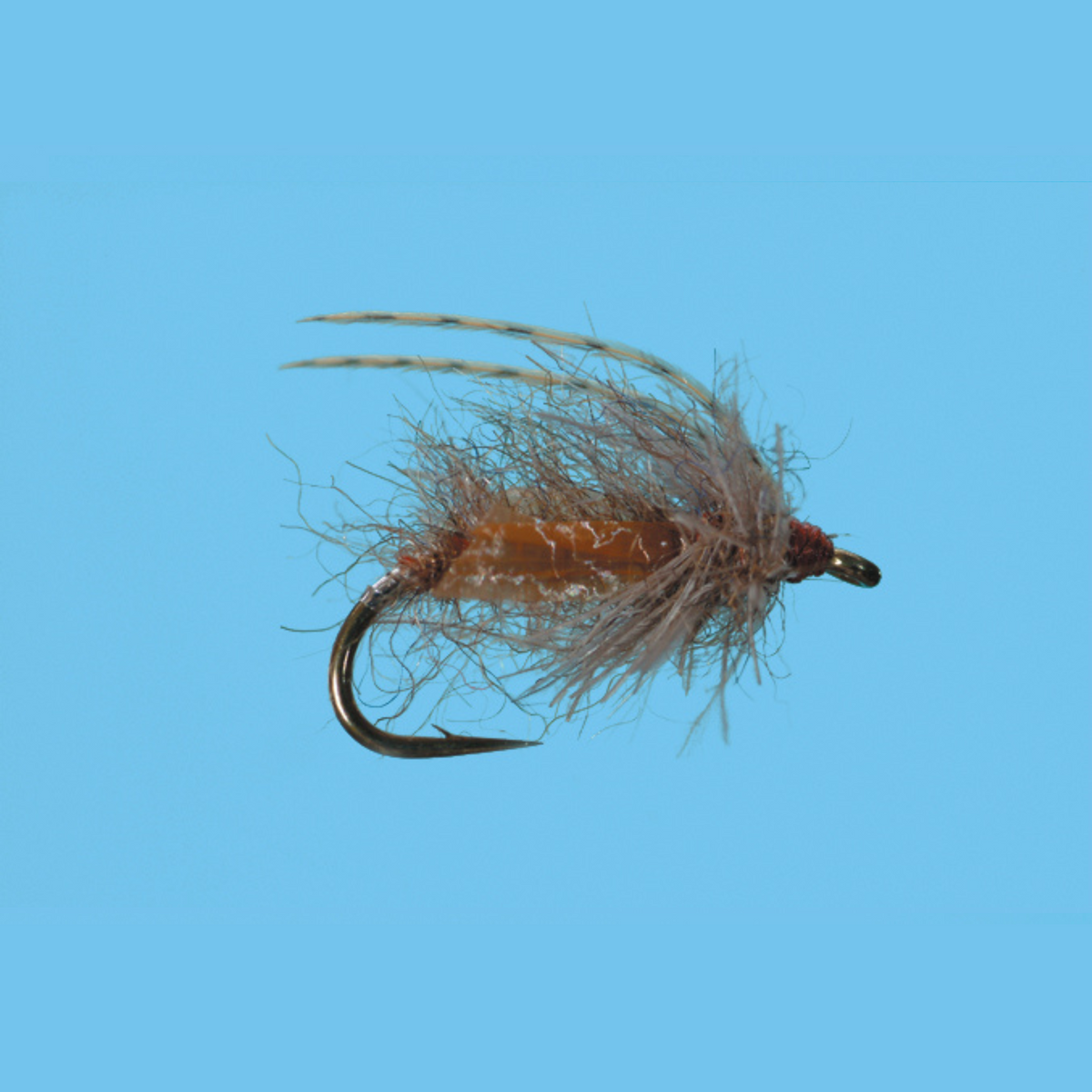 Translucent Pupa – Lost Coast Outfitters