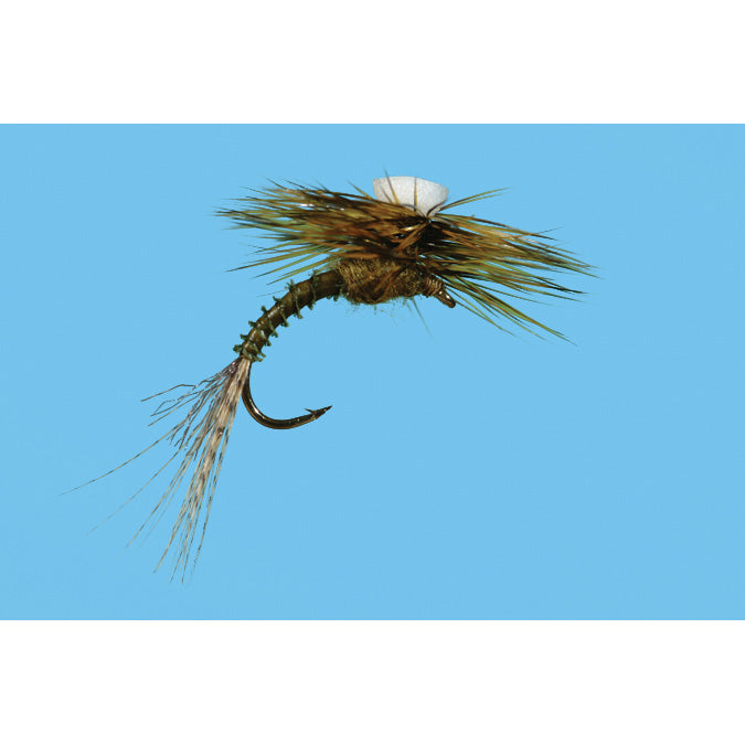 Brooks Sprout Emerger-Green Drake – Lost Coast Outfitters