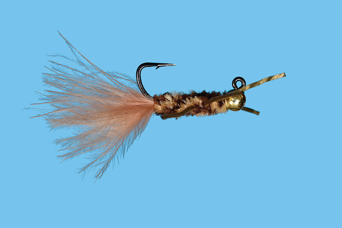 Skwala Nymph