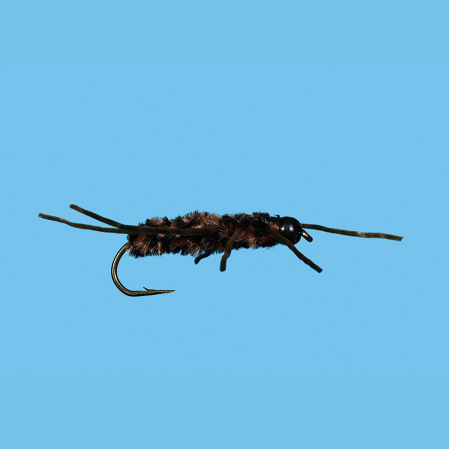 Skwala Nymph