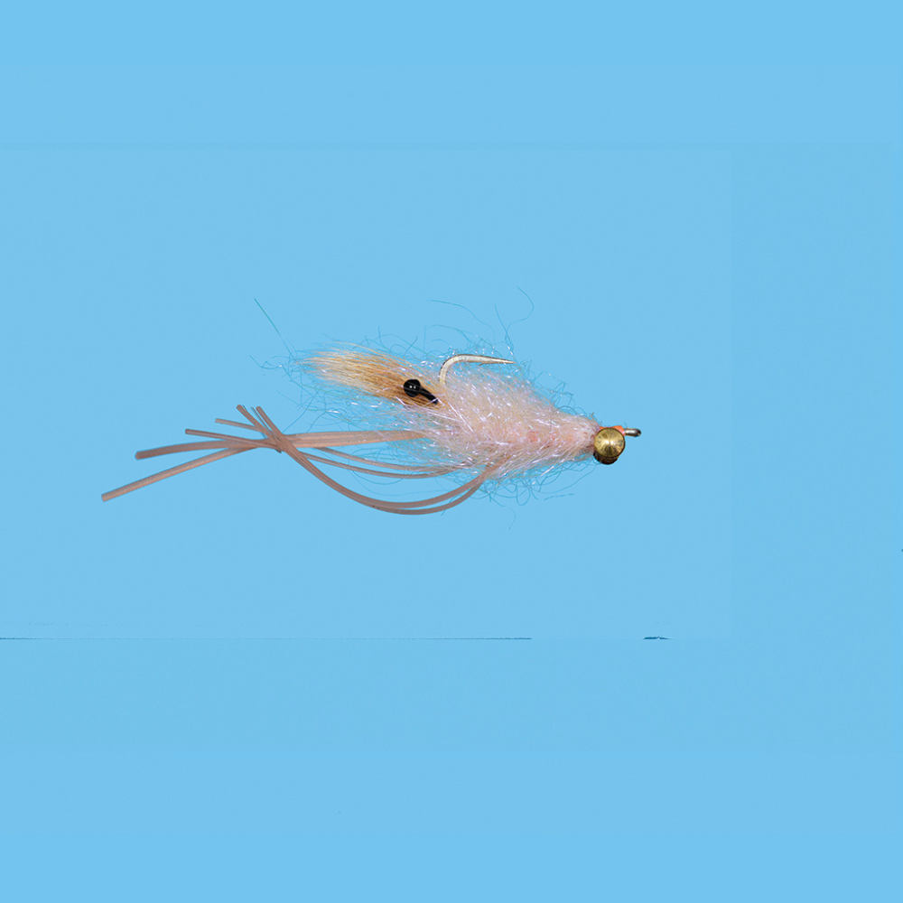 Ghost Rider – Lost Coast Outfitters