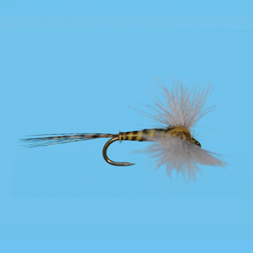 CDC BWO Spinner