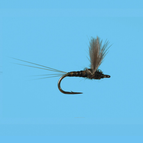 CDC Biot Comparadun BWO – Lost Coast Outfitters