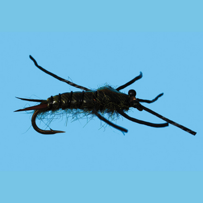 Skwala Nymph